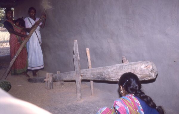 Dheki Rice – Vedic Vatica